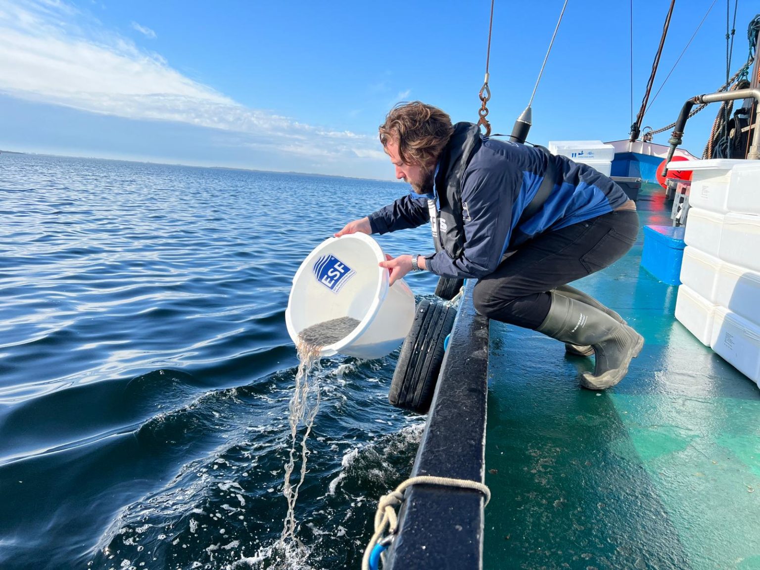 Uitzetten miljoenen jonge palingen helpt de natuur - DUPAN